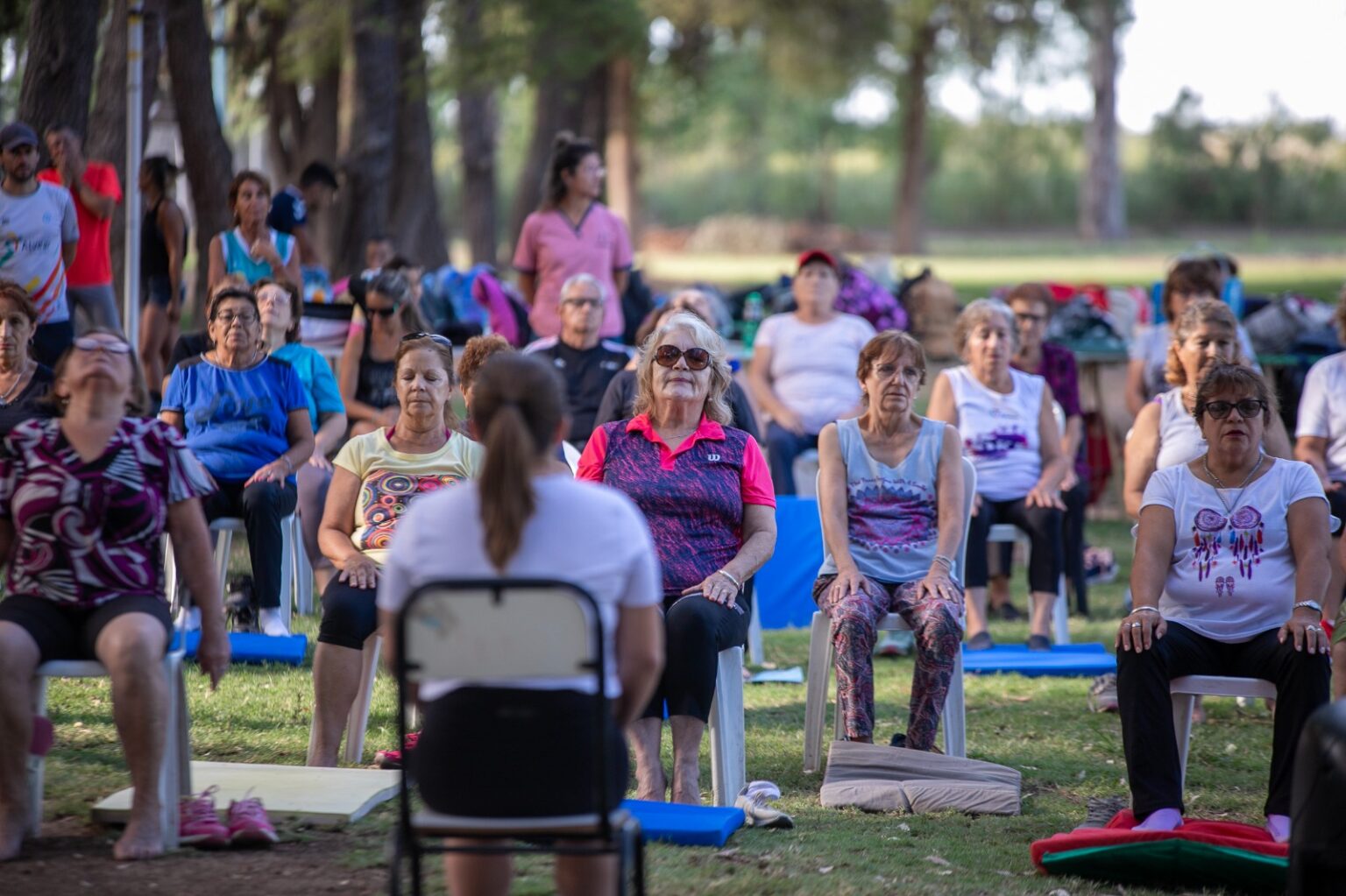 Programa de asistencia para adultos mayores: “Promoviendo un ...